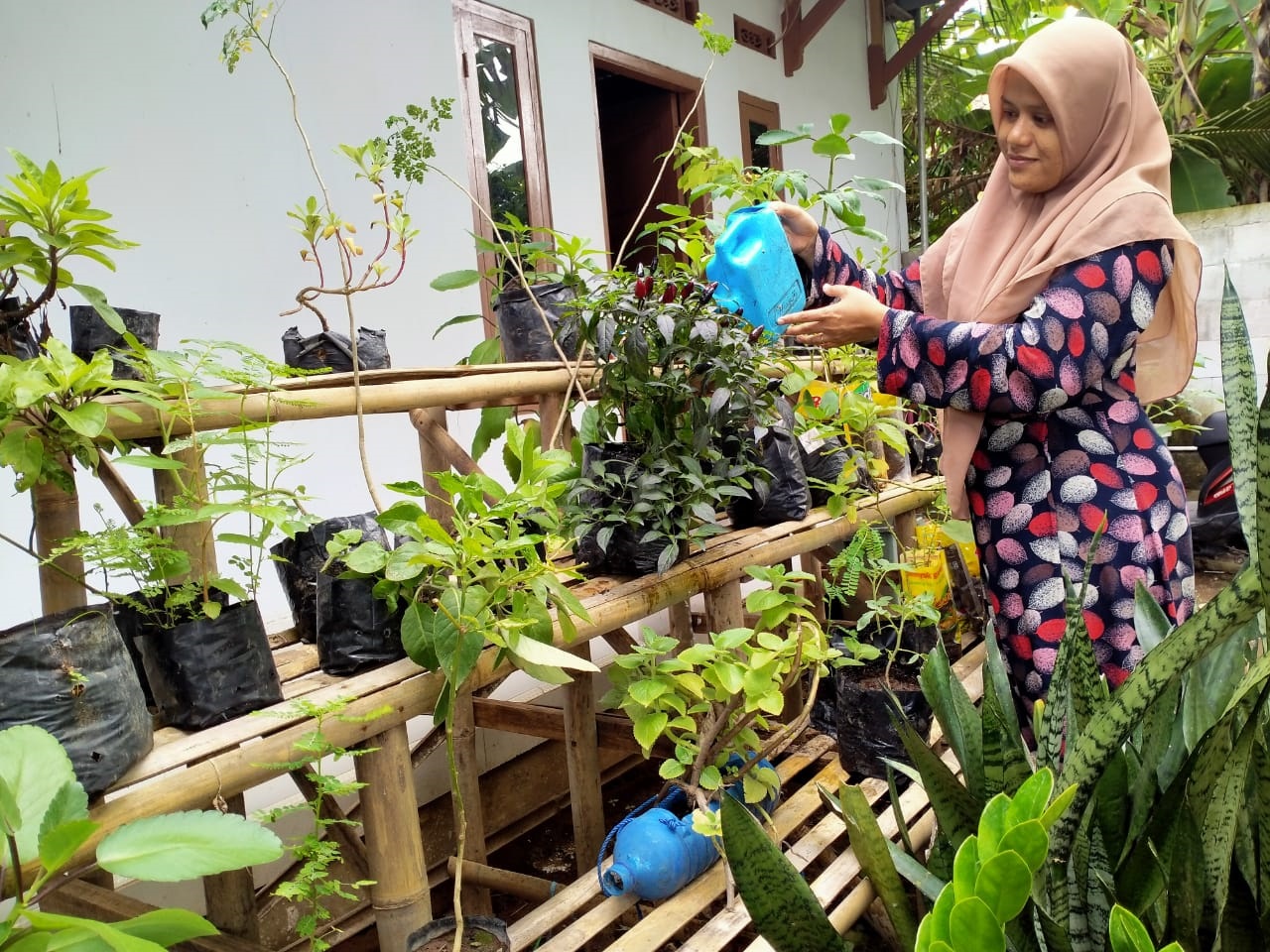 Uniknya Lomba Rumah Pangan Lestari – KBEonline.id