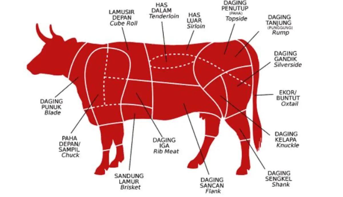 Mengenal Lima Bagian Daging Sapi Paling Lezat dan Bergizi, Apa Saja ...